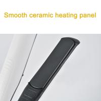 China Professional Electric 2-in-1 Ceramic Flat Iron Hair Curler-Portable Travel Straightening Tool Multi-Temperature Household Hotel for sale