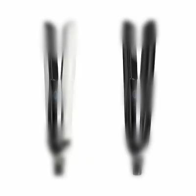 China Platinum+ Professional Dual-Purpose Electric Hair Straightener & Mini Curl Wireless Splint with Negative Ion Feature for Styling for sale