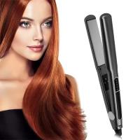 China Professional LED Electric Titanium Hair Straightener Hotel Household Use Portable Fast Heating Wholesale Private Label for sale