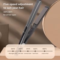 China Professional LED Electric Titanium Hair Straightener Hotel Household Use Portable Fast Heating Wholesale Private Label for sale