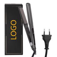 China Professional LED Electric Titanium Hair Straightener Hotel Household Use Portable Fast Heating Wholesale Private Label for sale