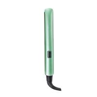 China Electric Hair Straightener Featuring Dual Voltage Compatibility and Ionic Technology for Frizz Free Long Lasting Results for sale