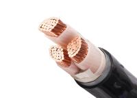 China Stranded Bare Copper Armoured Electrical Cable AWA One Core for sale