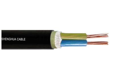 China Low voltage 0.6/1kV XLPE Insulated  Power cable IEC standard Two Cores for sale