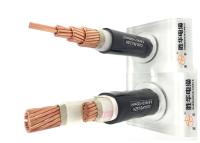 China Transmission Line XLPE LT Power Cable 95 Sq MM Cross Section Area for sale