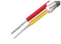 China Custom Concentric 25 Sq MM Aluminium Cable , XLPE Power Cable 0.6KV / 1kV for sale