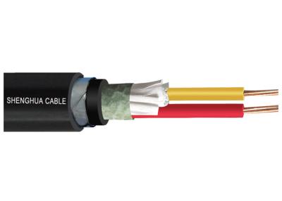 China Rigid / Stranded Copper 2 Core 4 Core Armoured Cable For Laying Indoor Outdoor for sale