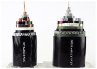 China CU AL Conductor Single Core / 3 Core Armoured Cable PE LSOH Sheathed for sale