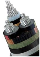 China Professional SQMM Steel Tape Armoured Cable 3 Core Customized YJLV22 3x300 for sale
