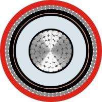 China CWS CTS STA PE Armoured Electrical Cable Medium Voltage 2 Years Warranty for sale