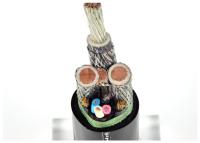 China Professional Monitoring Core EPR Insulated Cable , Rubber Power Cable for sale