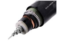 China Copper Wire Shield SWA Underground Al Armored Electrical Cable Single Core XLPE Insulation High Voltag for sale