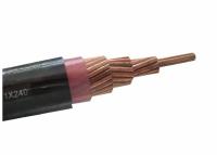 China PVC Sheath XLPE Insulation Copper Conductor , YJY Power Cable / 300mm Single Core Cable for sale