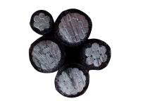 China Transmission Lion ABC Cable Triplex , XLPE Insulated Aluminium 5 Core Conductor for sale