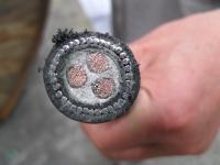 China Unshielded / Shielded XLPE Insulated Electrical Power Cable Single / Multi Cores 9 for sale
