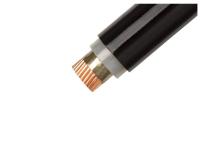 China Low Voltage XLPE Insulated Fire Proof Cable PVC Sheathed Copper Conductor for sale