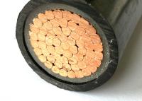 China Shanghai Shenghua Five Core XLPE Insulated Power Cable 0.6/1kV Armoured Aluminum Conductor Cable for sale