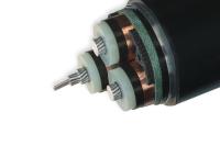 China Shanghai Shenghua  Multicore 450/750V Armoured Electrical Cable Steel Wire Armored PVC Insulated Copper Control Cable for sale
