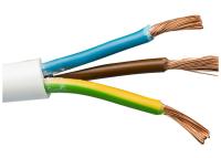 China Shanghai Shenghua Group Cable Colored Single Wire Cable PVC Insulation Wire 70℃ Max Conductor Temperature for sale