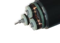 China Shanghai Shenghua Cable Aluminum Armoured Electrical Cable Copper Screen XLPE Insulated High Tension Cable for sale