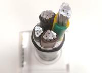China N2XY 4x95mm2 Oxygen-Free Copper PVC Insulated Multi-core Power Cable for Power Station 0.6/1kV for sale