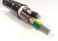 China NYY-O 1x300mm2 Oxygen-Free Copper PVC Insulated Single Core Power Cable for Distribution 0.6/1kV for sale