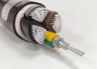 China N2XRY 4x35mm2 Oxygen-Free Copper PVC Insulated Wire Armoured Power Cable for Underground 0.6/1kV for sale