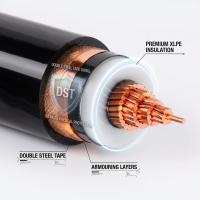 China 40 Years Service Life XLPE Insulated Double Steel Tape Armoured Cable 0.6/1kV for sale