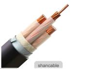 China 0.6/1kV XLPE Insulated Power Cable Indoors And Outdoors Excellent Electricity for sale