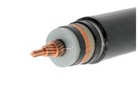 China Non Magnetic Steel Tape Armoured Cable Wiring CU/XLPE/CTS/STA/PVC 6.35/11KV for sale