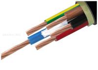 China 2x95 SQMM PVC Insulated Cables Class 2 Stranded Copper For Power Distribution for sale