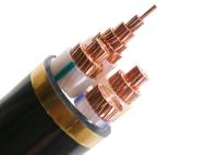 China 70Sqmm Concentric Conductor XLPE Insulated Power Cable YJV N2XCY for sale