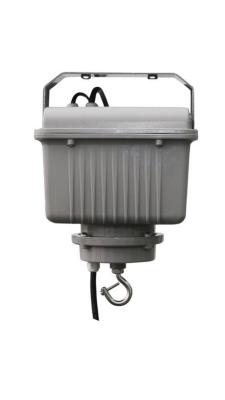 China Remote LED Light Lifter Wireless Control 15m 25m Lifting Height 35W AC Motor IP54 for sale
