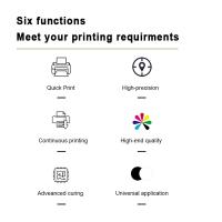 China 30cm UV DTF Printer with EPSON F1080 Heads - 95KG Industrial Roll-to-Roll Inkjet System for Sticker Printing for sale