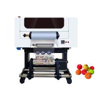 China UV DTF Printer 300mm Air Cooling 2xEPSON F1080 for FLEXIPRINT Digital T Shirt Printing Machine for sale