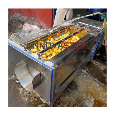 China 380V Industrial Stainless Steel Brush Roller Bubble Cabbage Vegetable Washing Machine 2000kg/h for sale