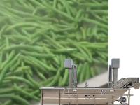 China SUS304 Stainless Steel Fruit Vegetable Washing Machine 2mm Thickness Bubble Cleaning for sale