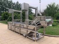 China SUS304 Stainless Steel Fruit Vegetable Washing Machine 2mm Thickness Bubble Cleaning for sale
