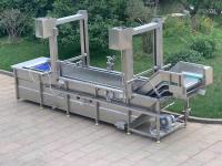 China SUS304 Stainless Steel Fruit Vegetable Washing Machine 2mm Thickness Bubble Cleaning for sale