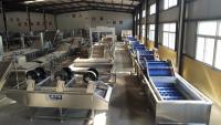 China Industrial Fruit Vegetable Washing Machine 2mm SUS304 Stainless Steel Gantry Lift Tank for sale