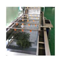 China Industrial Fruit Vegetable Bubble Washing Line with Ozone Water 500kg/h for sale