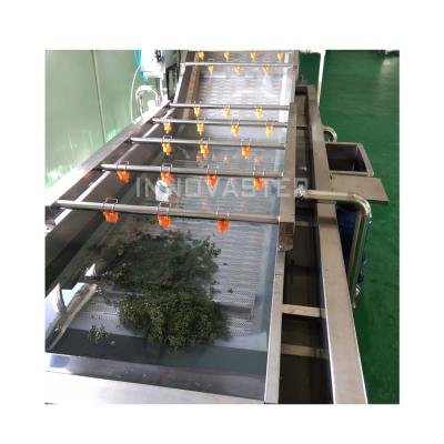 China Industrial Fruit Vegetable Bubble Washing Line with Ozone Water 500kg/h for sale
