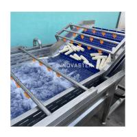China Easy Operate Nozzle Spray Fruit Lettuce Spinach Vegetable Brush Washing Machine for sale