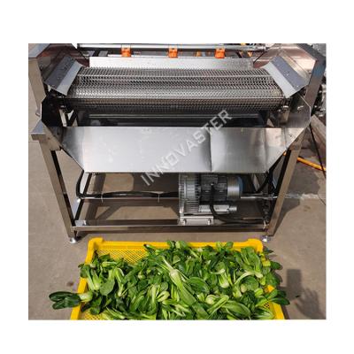 China Water Recycle Ozone Leaf Lemon Herbal Apple Washing Machine for Beverage Distributors for sale