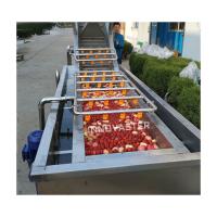 China Water Recycling Vortex Type Vegetable and Fruit Washing Machine with Advantageous Design for sale