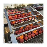 China 6000x1400x2400mm Fruit Vegetable Bubble Washing Machine for Efficient Cleaning for sale