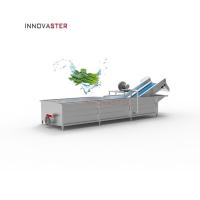 China Vegetable Chips Making Machine 500kg/h for Potato Washing Line and Frozen Fruit Processing for sale