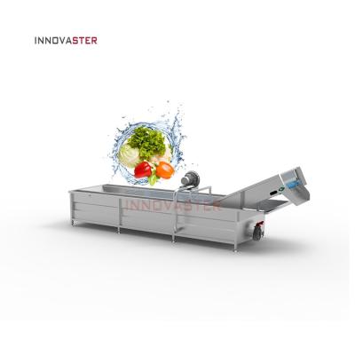 China Industrial Grade Water-Based Olive Fruit Leaf Vegetable Cleaning and Drying Equipment for sale