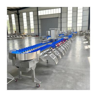 China Automatic Sea Cucumber Chicken Feet Weight Sorting Machine 220V 380V 50-5000G for sale