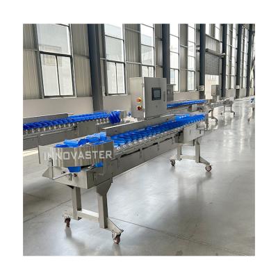 China Nut-Based Chicken Feet Weight Grading Machine for Food Industry Equipment Automatic for sale
